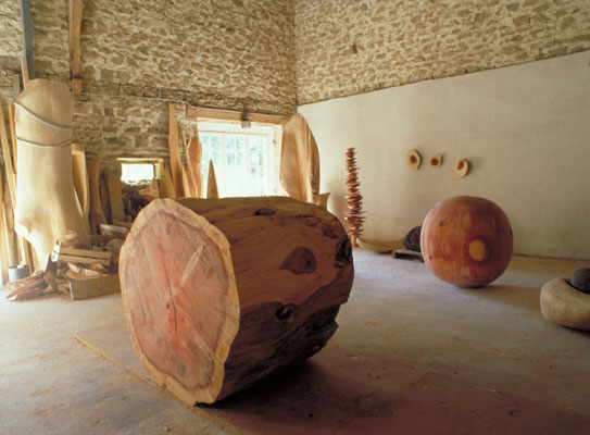 Dominique Bailly. La nature et son double. – Ecrit pour voir