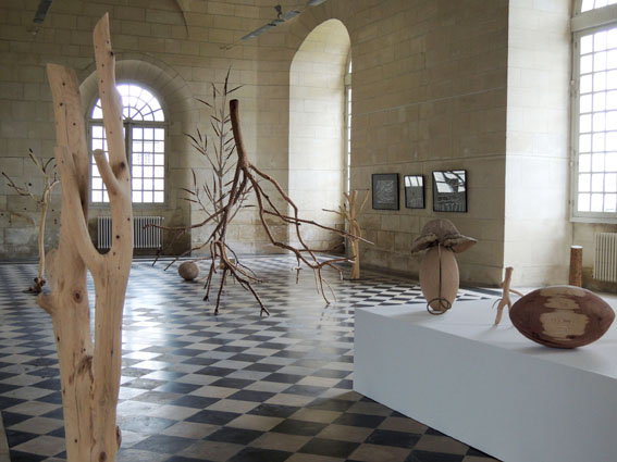 Dominique Bailly. La nature et son double. – Ecrit pour voir