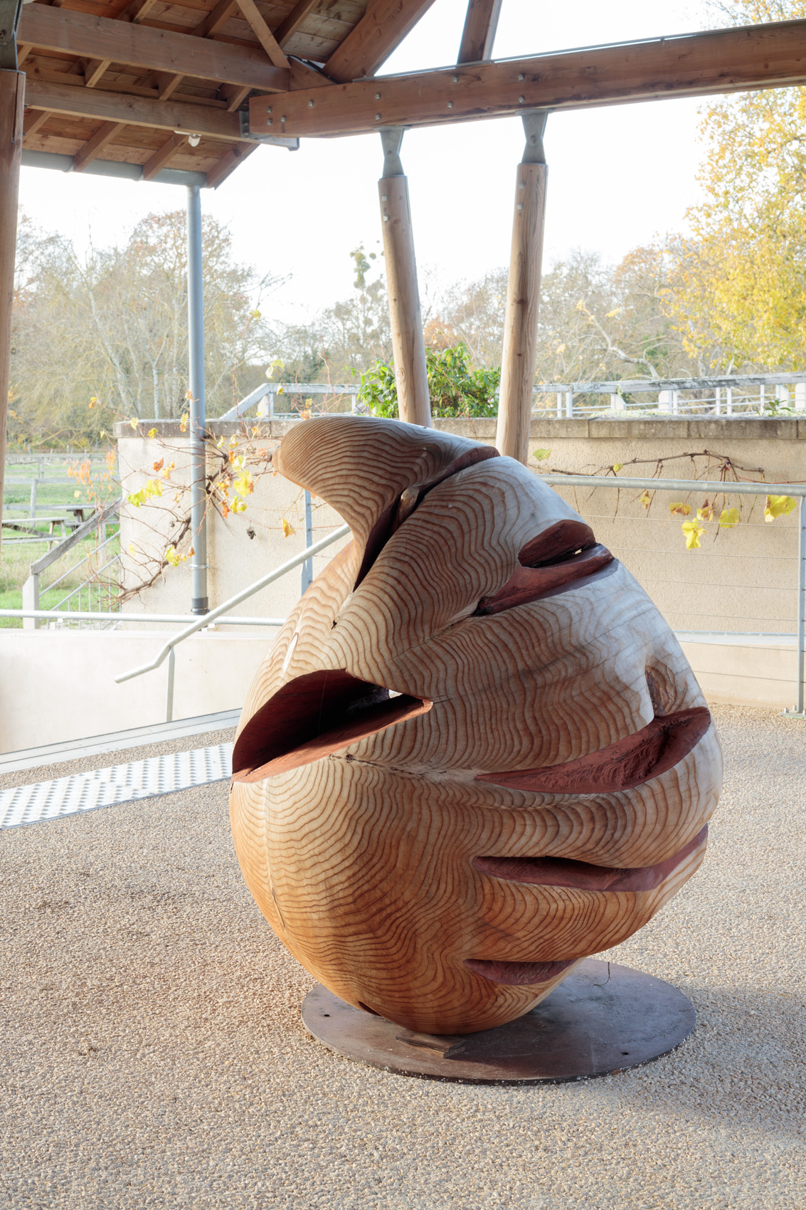 Dominique Bailly. La nature et son double. – Ecrit pour voir